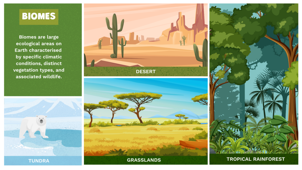 What are the different types of Biomes? - My Earth Quest