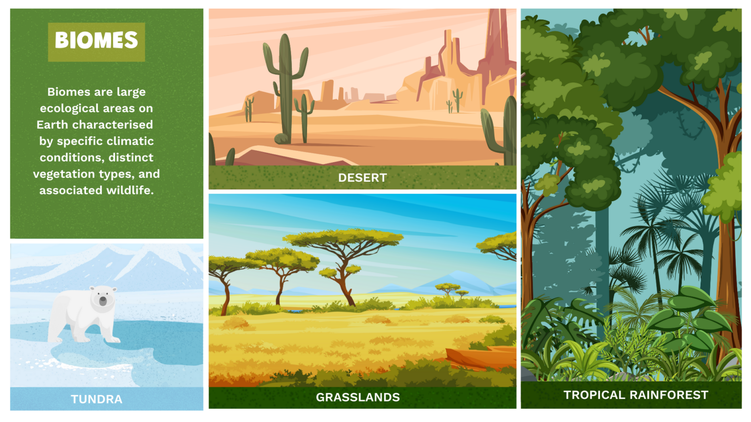 What are the different types of Biomes? - My Earth Quest